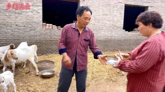 羊正常体温你了解吗羊感冒流...