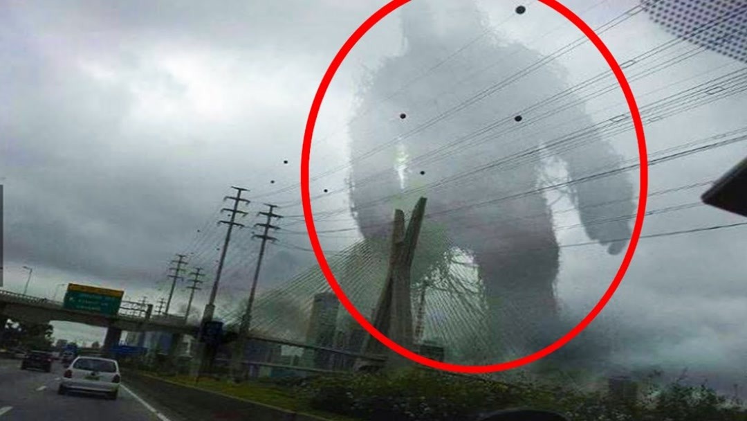 天空出现不明生物,巨大无比遮天蔽日,5个身份成谜的未知生物