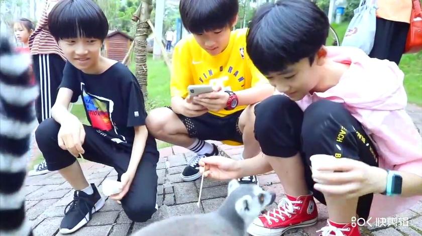 TF家族三代,05后小朋友在线摸蟒蛇,粉丝:现在小孩都这么大胆吗