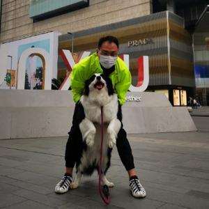 推杯换盏酒斛辉映 