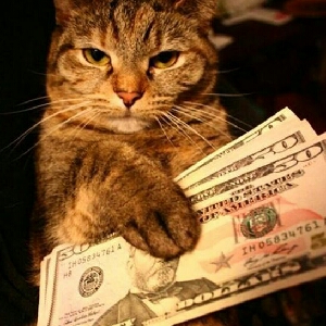 你的魔头Jj来啦 