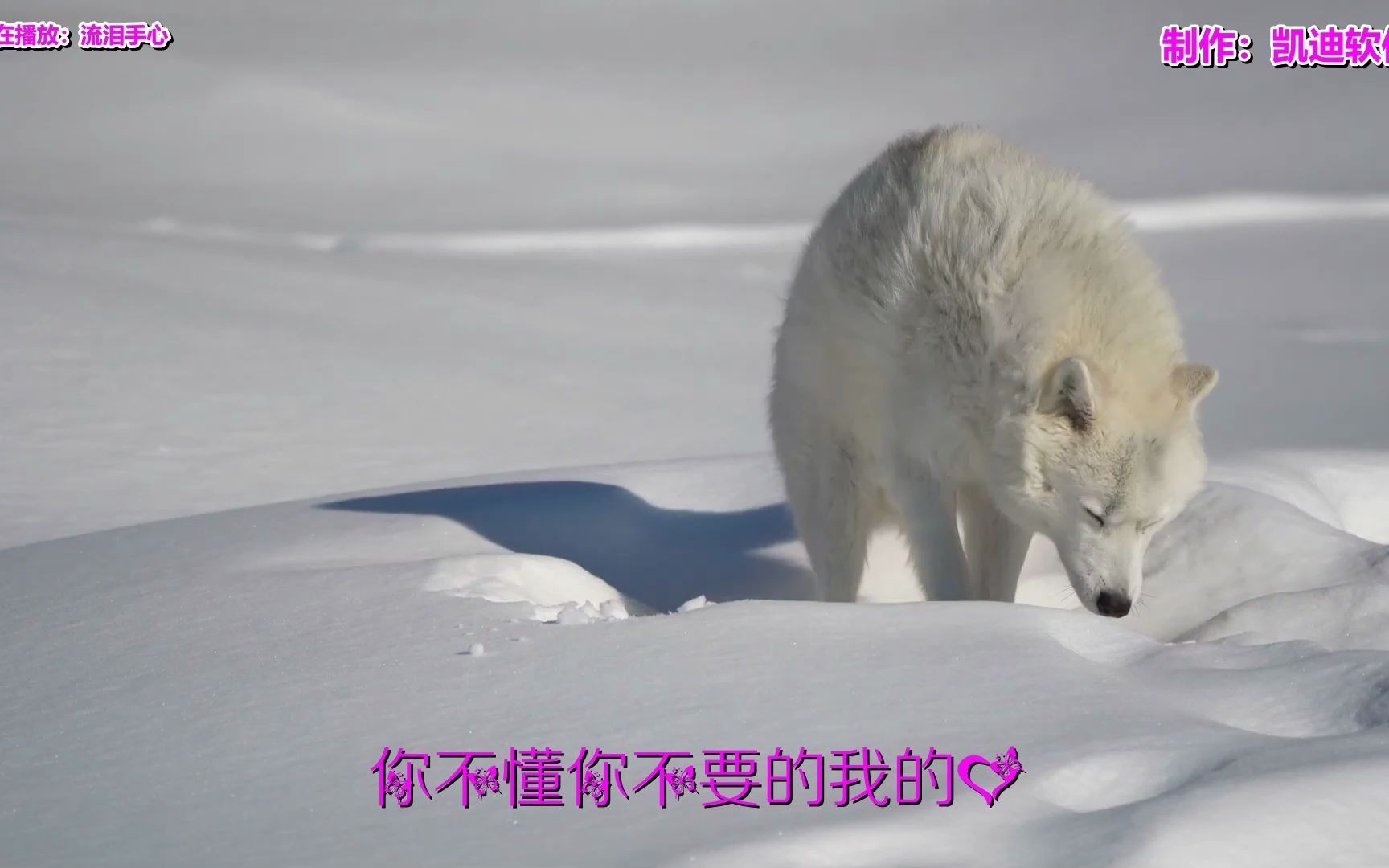 《流泪手心》欣赏,全民k歌怎么制作mv教程