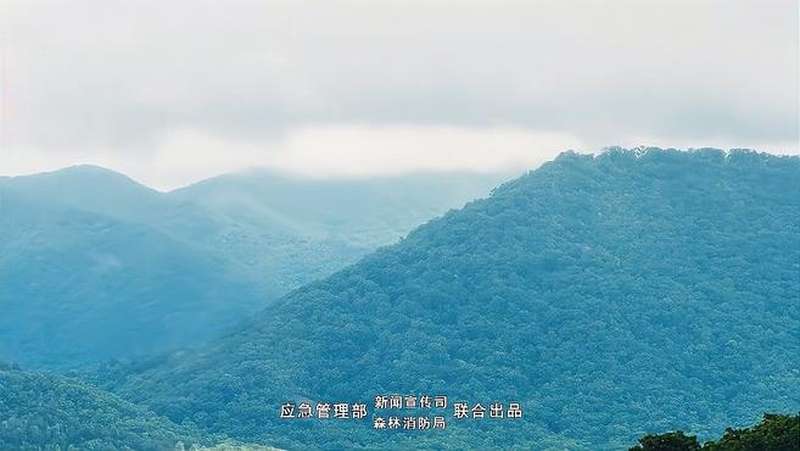 森林草原防火季 【守护它们原有的样子】火灾作为森林最危险的敌人,...