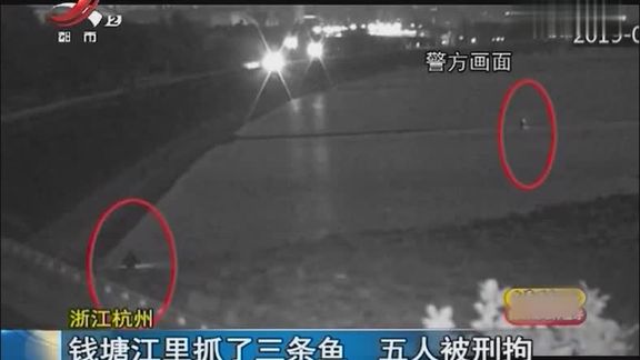 装备齐全!五人组团禁渔期钱塘江电鱼,最终把自己送进班房