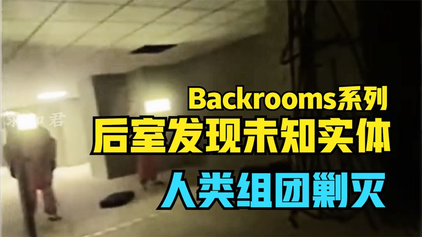 后室发现未知实体,人类组团扫除—backrooms暗房系列