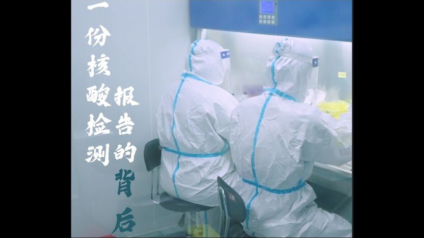 一份核酸检测报告的背后