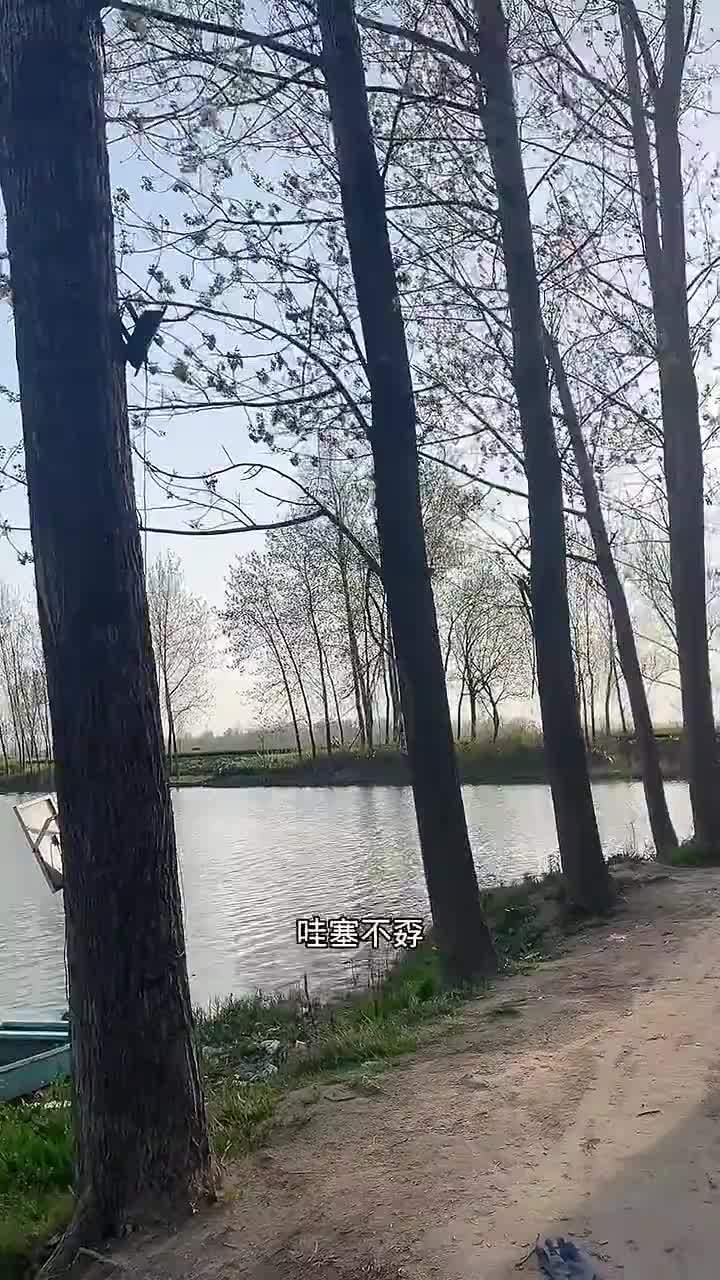 出来玩啊!反正也挣不到钱记录真实生活户外活动嗨起来记录相聚时光