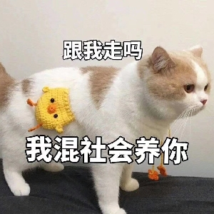 云柜柜 