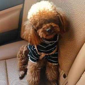 吹黑管的冉冉 
