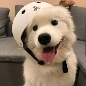 做不被定义的汽车改装 