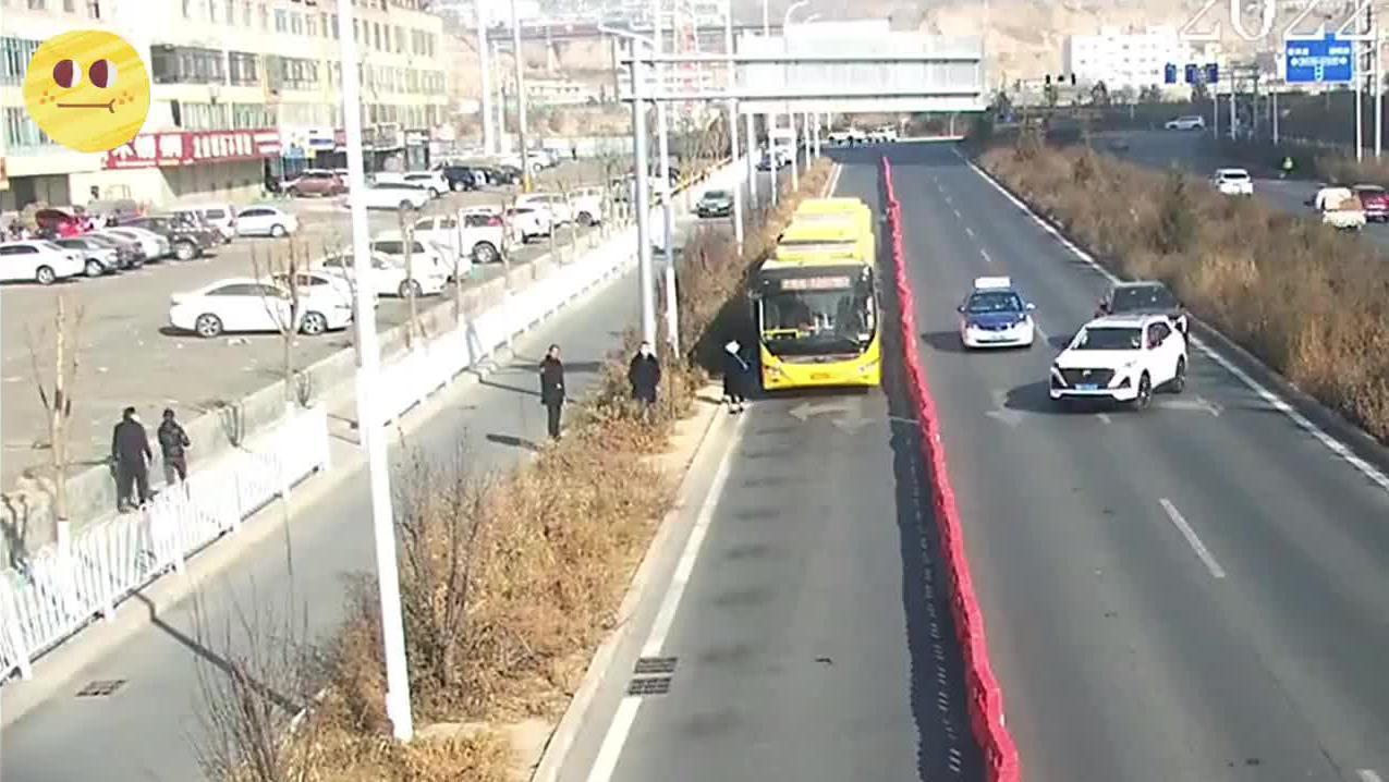 ...有新手错把油门当成刹车?太危险了!#新手上路 #驾驶技巧 #汽车知识