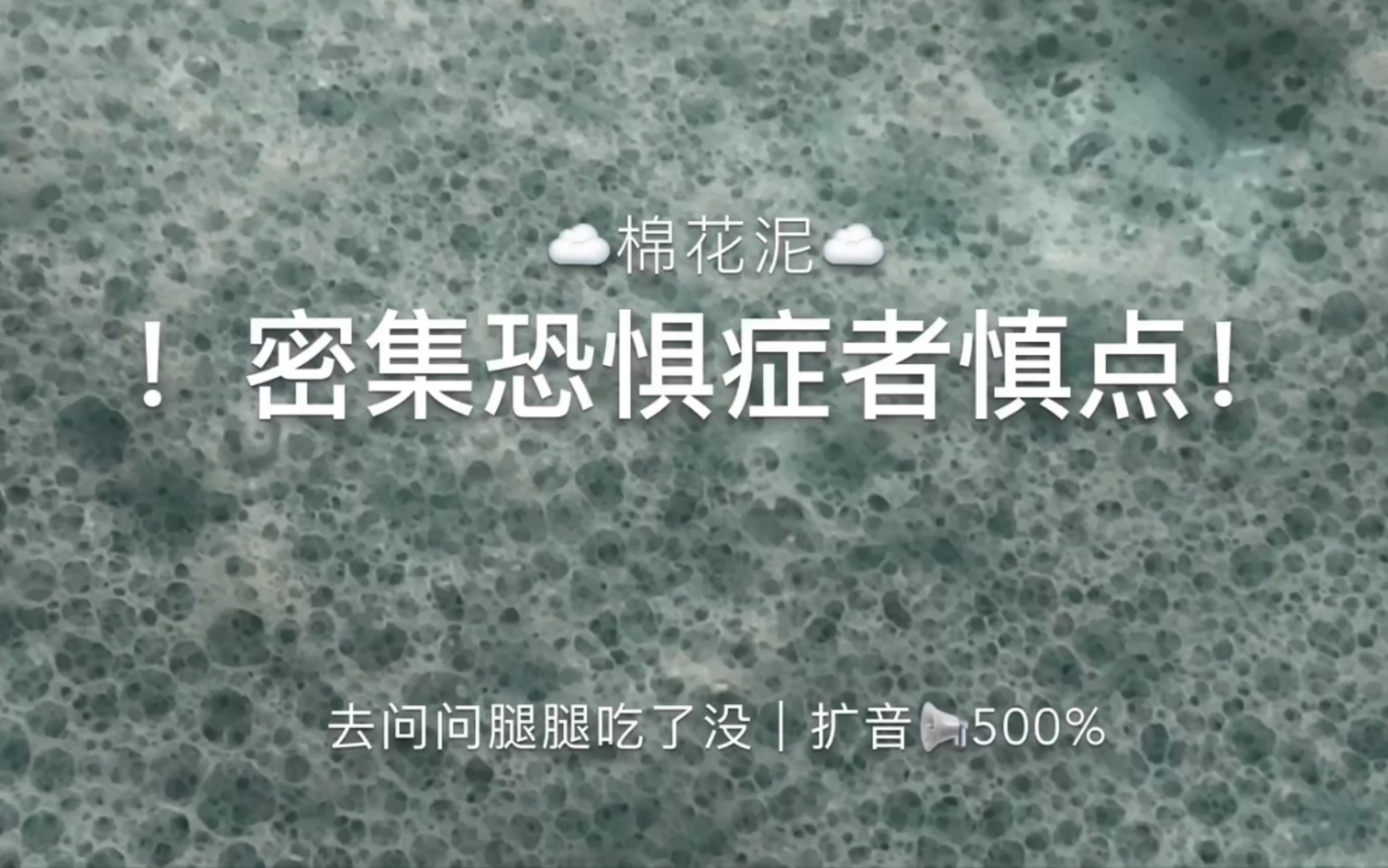 棉花泥|扩音500%|密集恐惧症者慎点