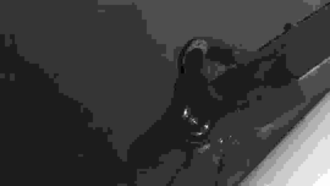 绿源电动车新车后减震异响