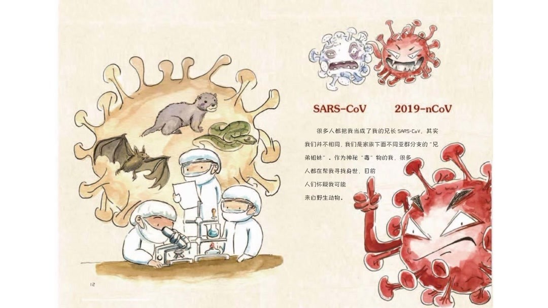 生命教育之预防新型冠状病毒肺炎-基本常识