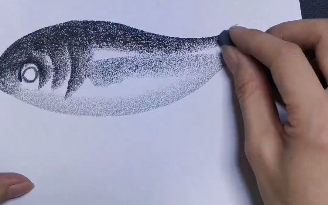 素描炭笔简单画出生动的鱼