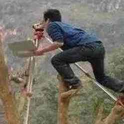 建造师备考案例动画 