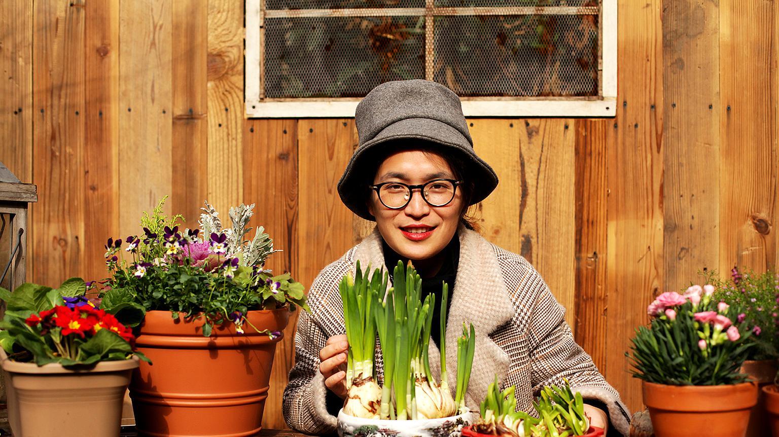手把手教你种中国水仙!家里有了它,春意盎然,祥瑞温馨
