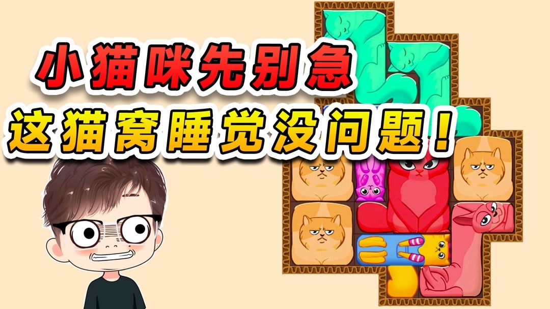 小猫咪你们先别急,虽然这猫窝有点挤,但睡个觉没问题!