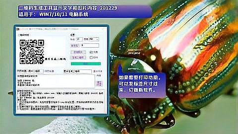 390_二维码生成工具显示文字和图片内容_201229