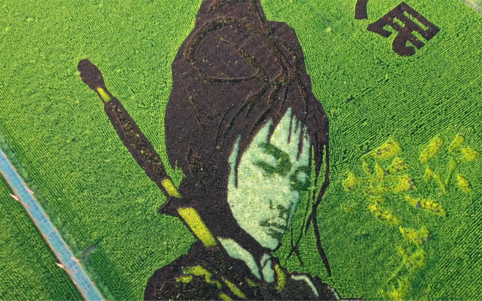 五彩田园“农民丰收节”主题稻田画,通过稻田画打造乡村特色景观旅游