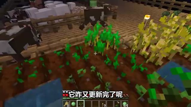 我的世界,单方块生存到此结束,期待下一个模组!