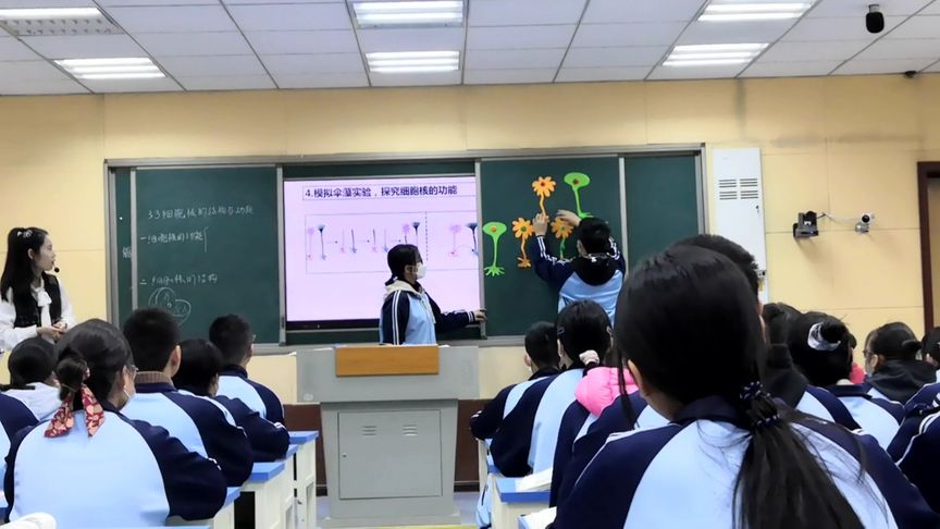 平顶山市二高青蓝杯赛课大赛,学生演示伞藻嫁接实验,很精彩