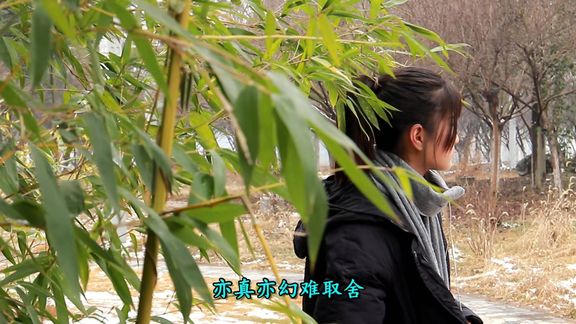 毛阿敏唱的这首歌,为什么听起来这么撕心裂肺,让人想哭