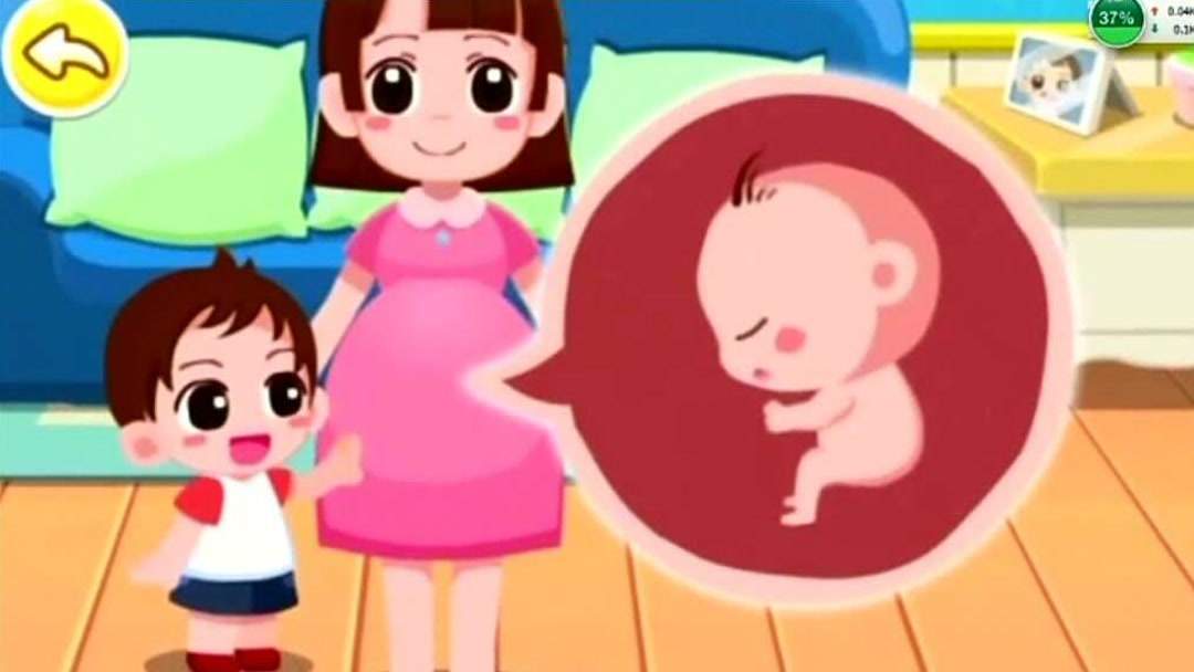 小宝宝如何出生的呢 宝宝巴士亲子游戏