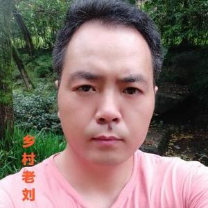 乡村老刘生活 