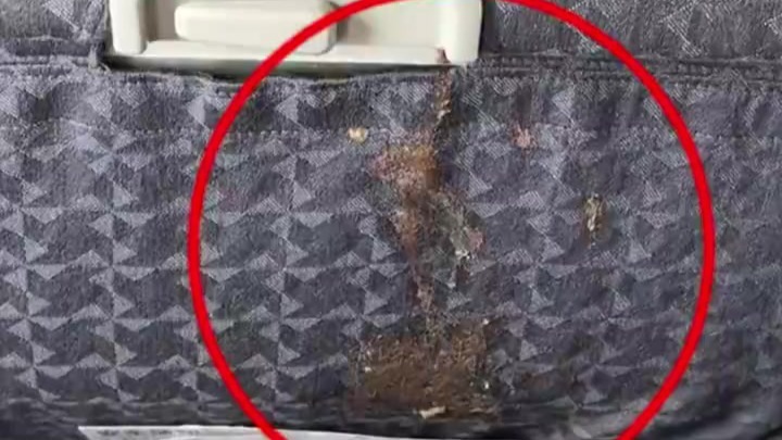 女子坐飞机发现座椅后背布满呕吐物,湖南航空回应