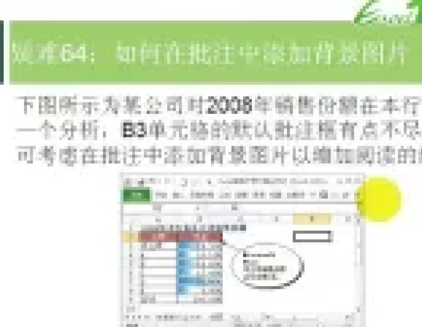 Excel疑难千寻千解丛书之Excel 2010操作与技巧 疑难64 如何在批注中...
