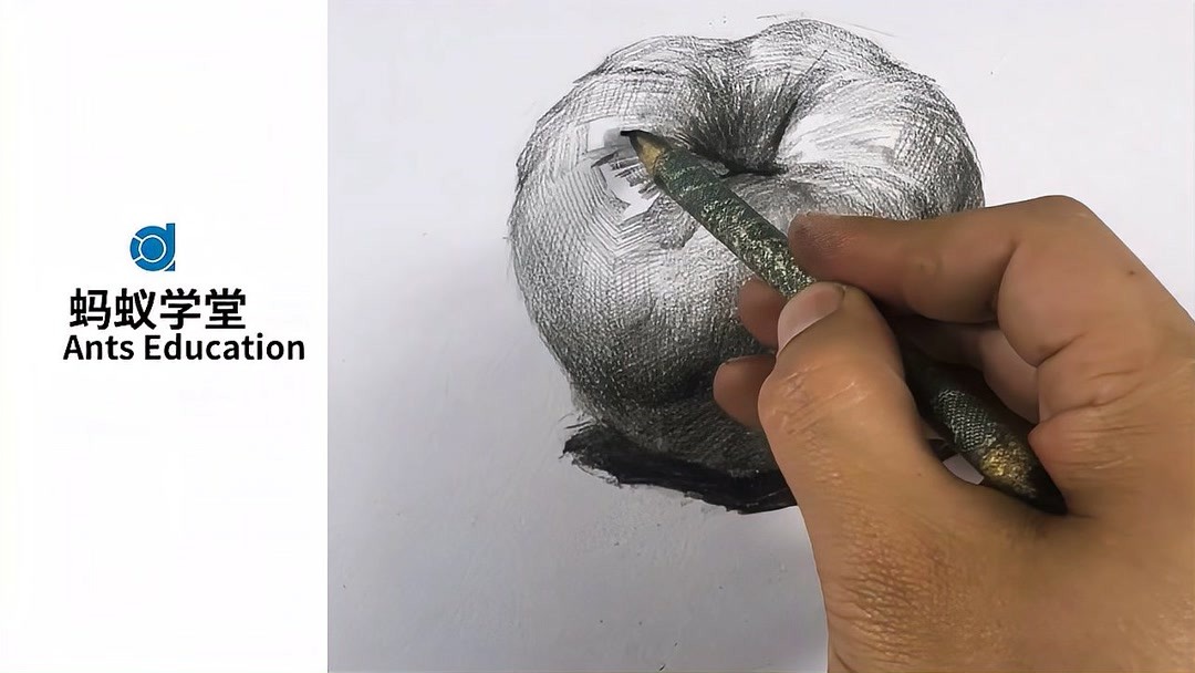 【日照蚂蚁学堂】手把手教会你素描苹果排线,超详细!