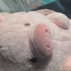 桜色P 