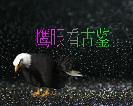 鹰眼看古鉴 