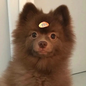 小新学长资料库 