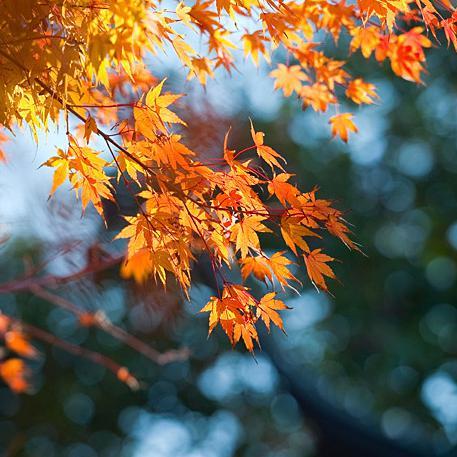 杭州传媒品牌促进会 