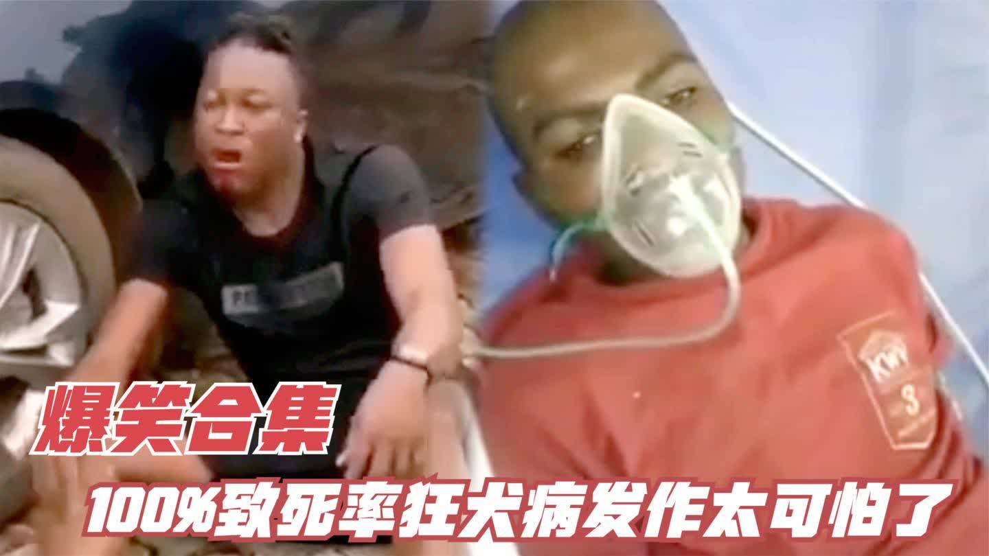 盘点百分百致死狂犬病:一旦感染发作无力回天,真心心疼患者!