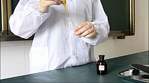 观察血液的分层现象——实验过程1