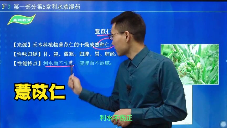 2022执业药师-中药-薏苡仁的主治功效@抖音