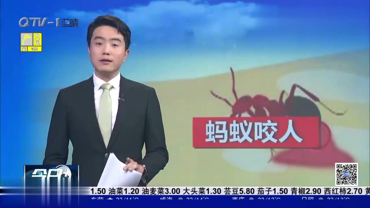 女子被蚂蚁咬了一口,竟休克昏迷,遇到这种蚂蚁千万要注意