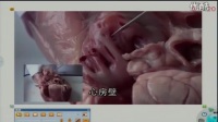 人教版初中生物七年级下册《输送血液的泵心脏》教学视频-天津市(...