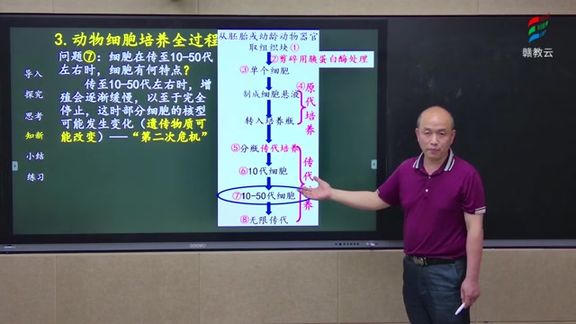 高二生物(人教版)《动物细胞培养和核移植技术(第一课时)》