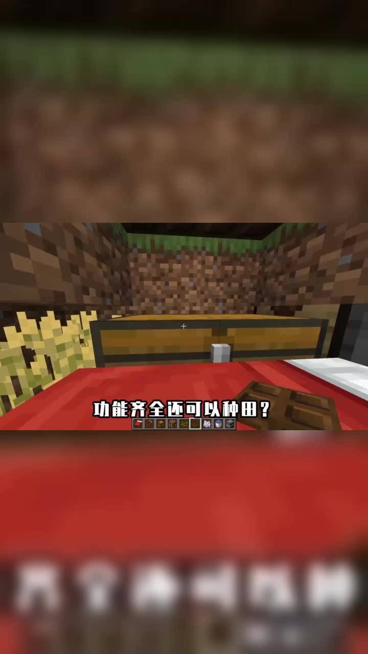 我的世界:是你MC梦想中的家吗?