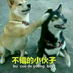 据说名字越长越好 