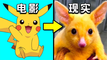 现实版皮卡丘?《宠物小精灵》中的5大现实生活原型
