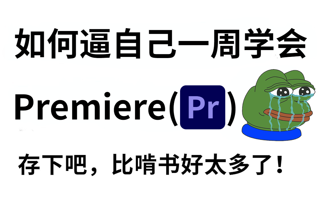 【2023PR精华版教程】只用一周学会PremierePR软件,保姆级影视...