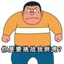 愤怒的胖虎v587 