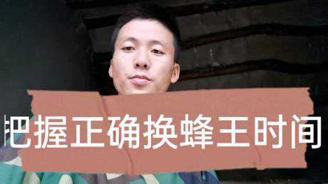 什么时间换蜂王好,什么季节杀螨好