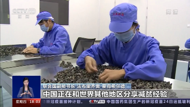 [共同关注]国际社会关注中国减贫成就 中国经验为全球减贫事业贡献...