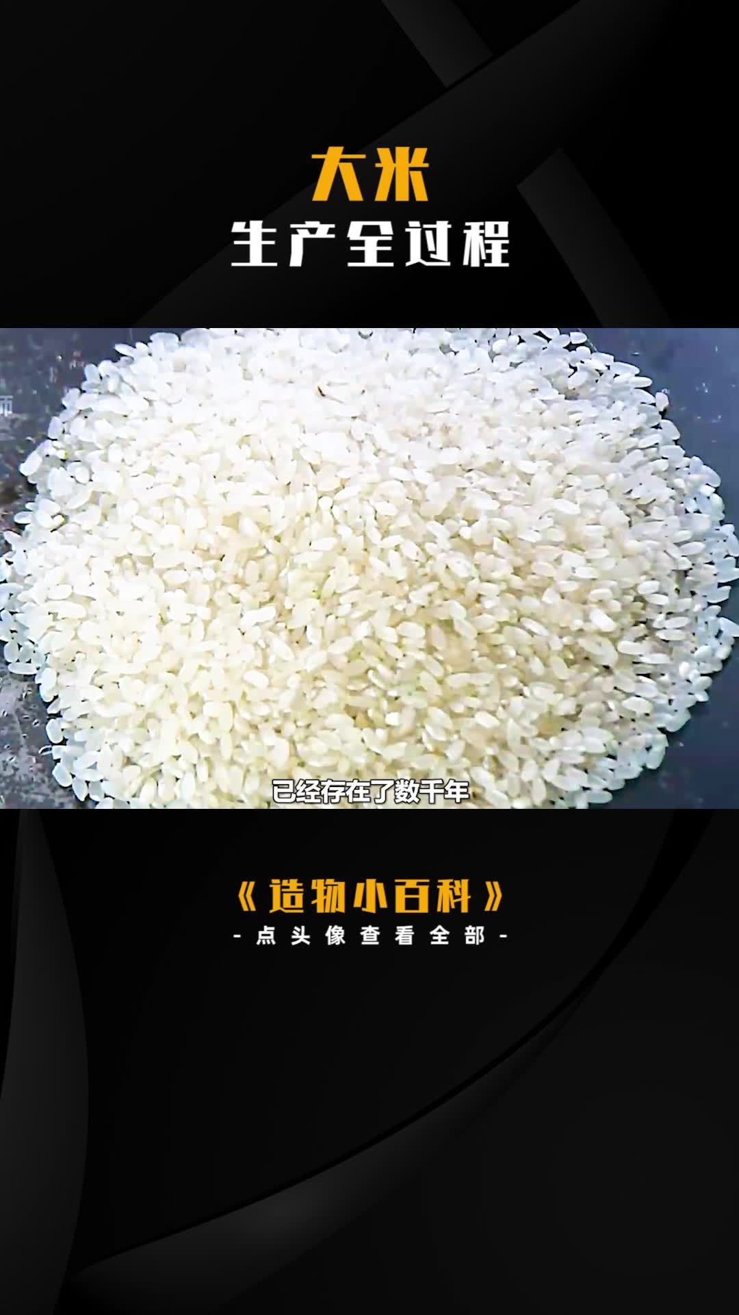 稻谷是如何制作成大米的?1分钟带你了解,大米生产
